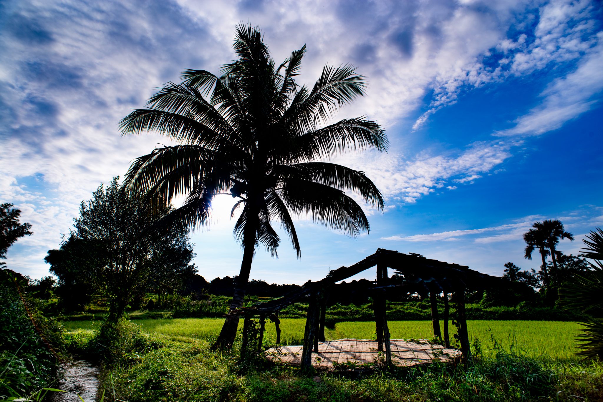 Understanding the Importance of Light in Photography - kevinlj.com