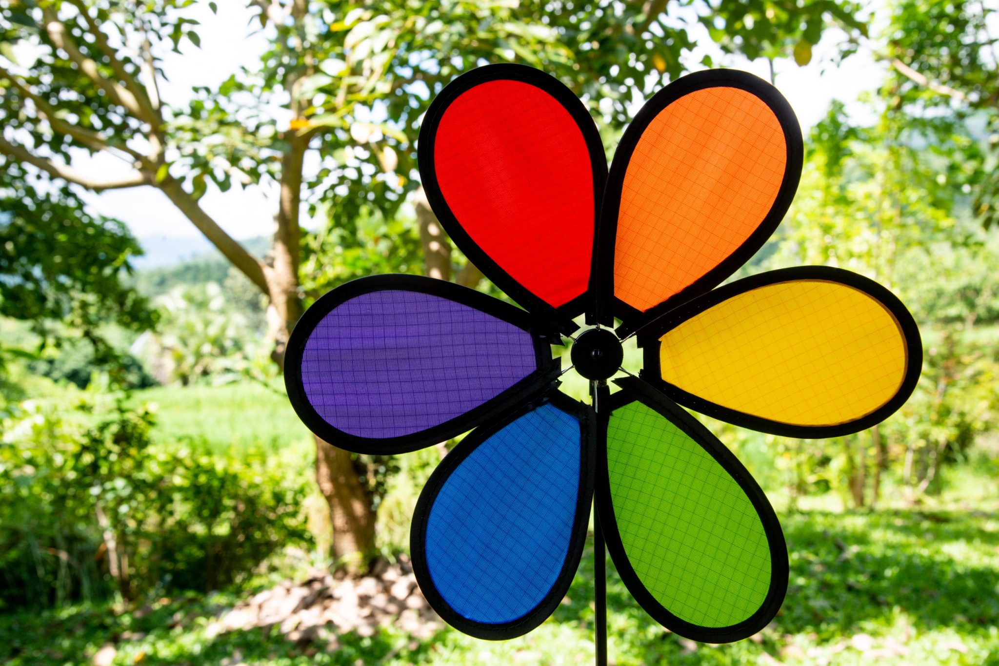 What Causes a Blurry Photo and How To Avoid These Problems - kevinlj.com