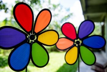 What Causes a Blurry Photo and How To Avoid These Problems - kevinlj.com